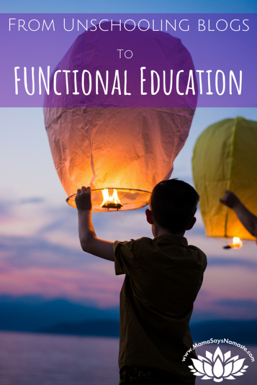 Why I Believe In Functional Education For Our Future…and what that even ...