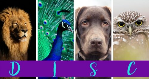 What Is A DISC Personality Assessment? ⋆ Mama Says Namaste